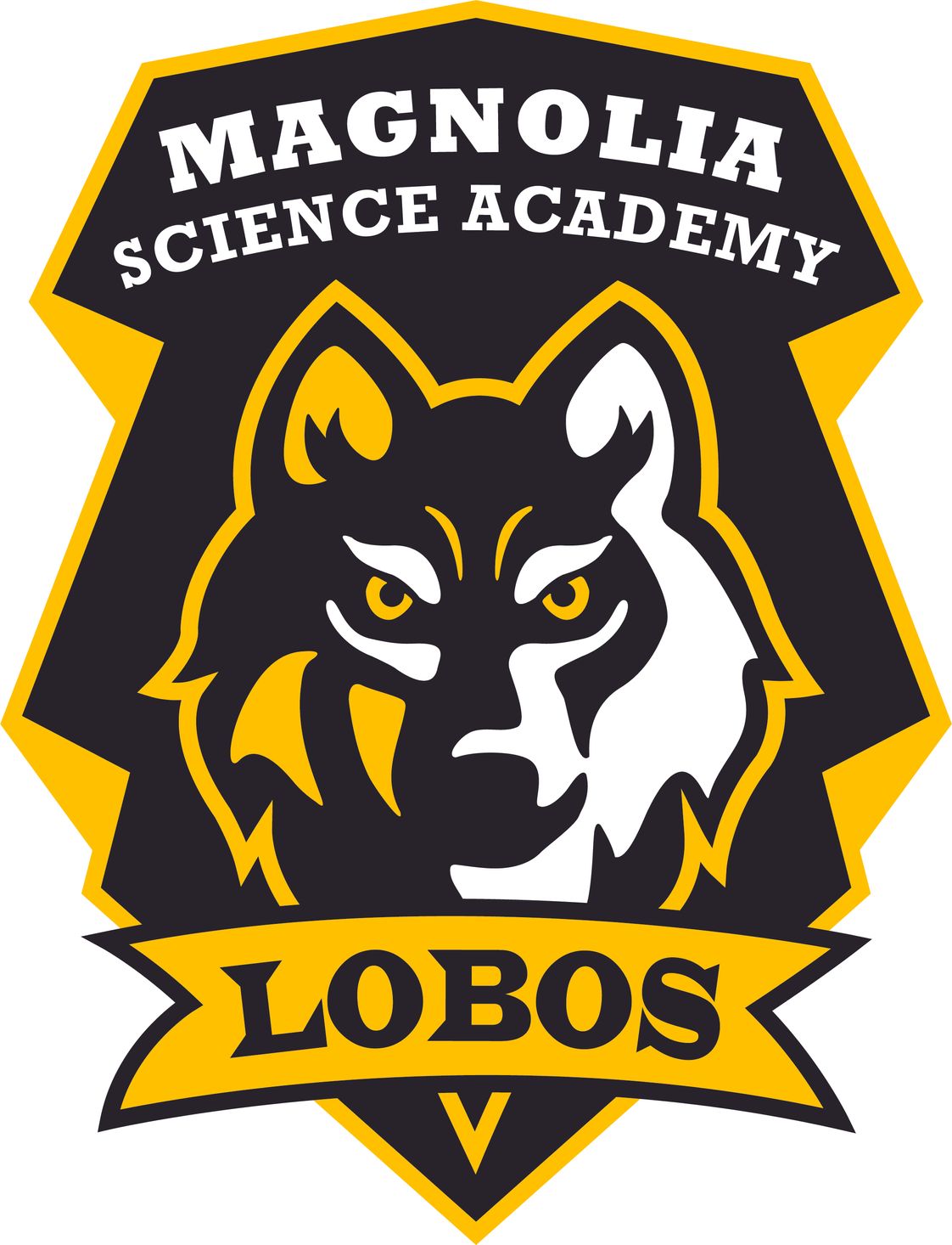 Magnolia Science Academy 5 (2023 Ranking) - Reseda, CA